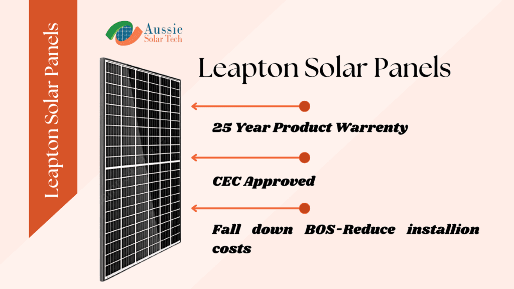 Leapton Solar Panels Review: Affordable Energy Solution